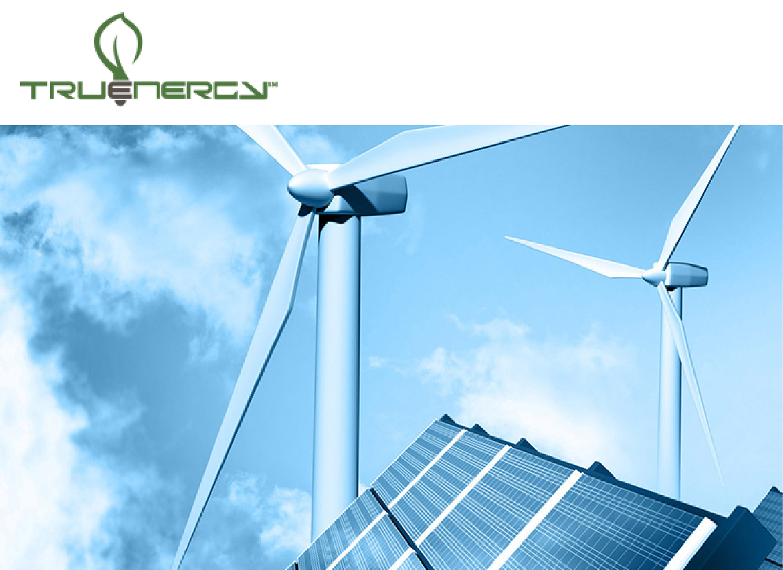 Our Portfolio